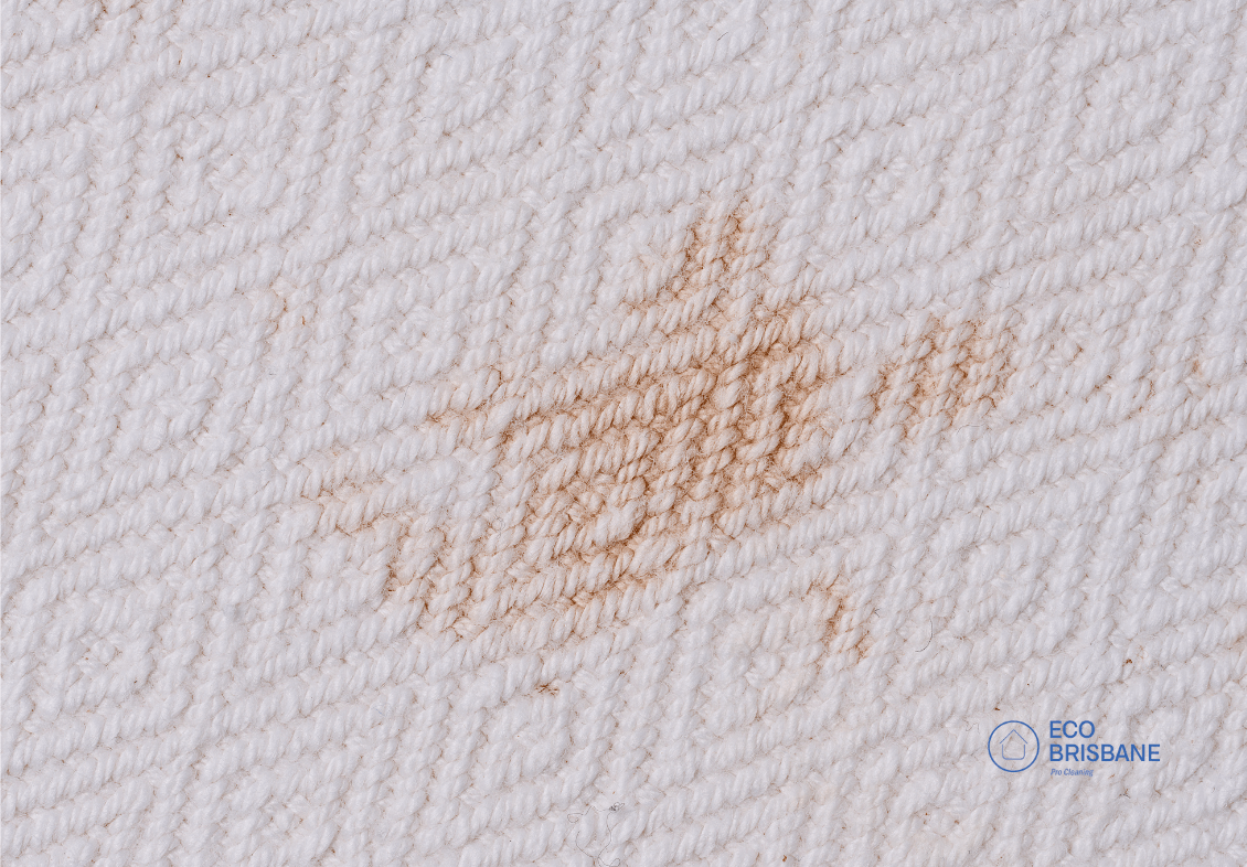 What Are the Most Common Carpet Stains and How to Remove Them?